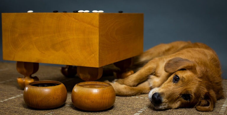 Chess vs Go: Which Game is More Challenging?